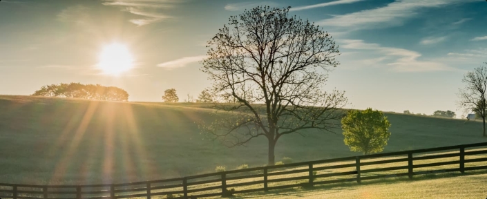 First National Bank of Manchester | Banking Products & Services