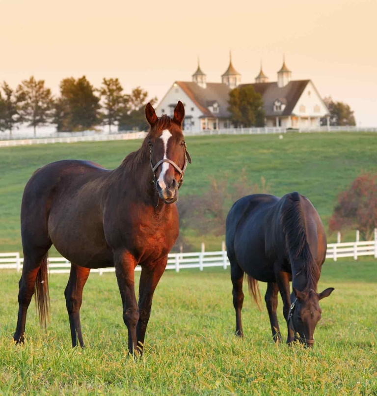 First National Bank of Manchester | Banking Products & Services