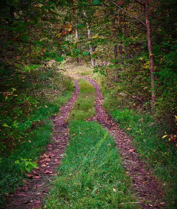 Personal Checking | First National Bank of Manchester